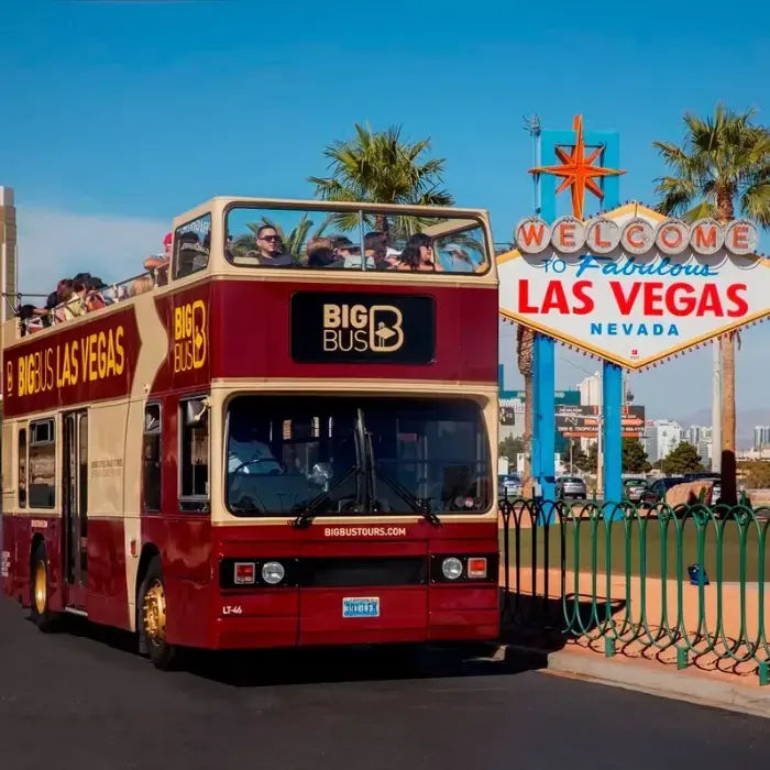 Big Bus Tours: Las Vegas Adult Only Night Tour