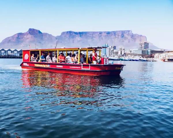City Sightseeing Unlimited City Pass Cape Town