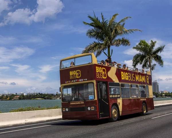 Big Bus Tours: Miami Hop-On, Hop-Off with Everglades Experience
