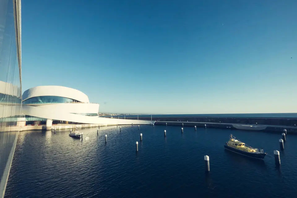 Gray Line: Porto Hop On Hop Off & River Cruise | 48 Hrs