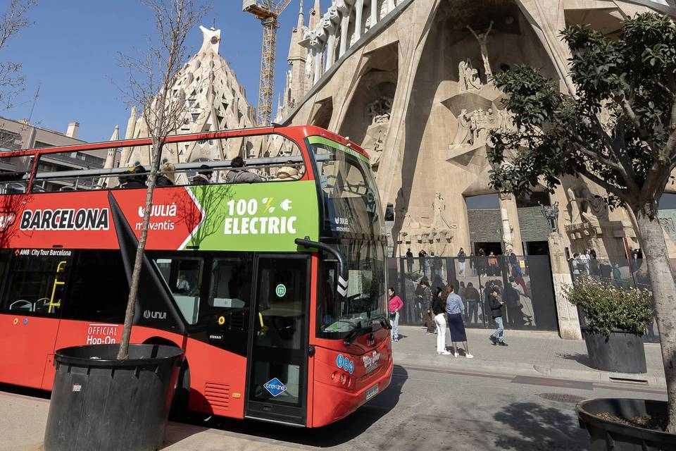 Barcelona City Tour and Moco Museum