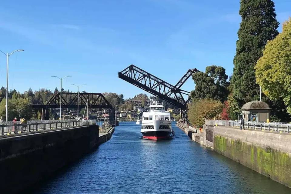 City Sightseeing: Seattle Hop On, Hop Off with Locks Cruise