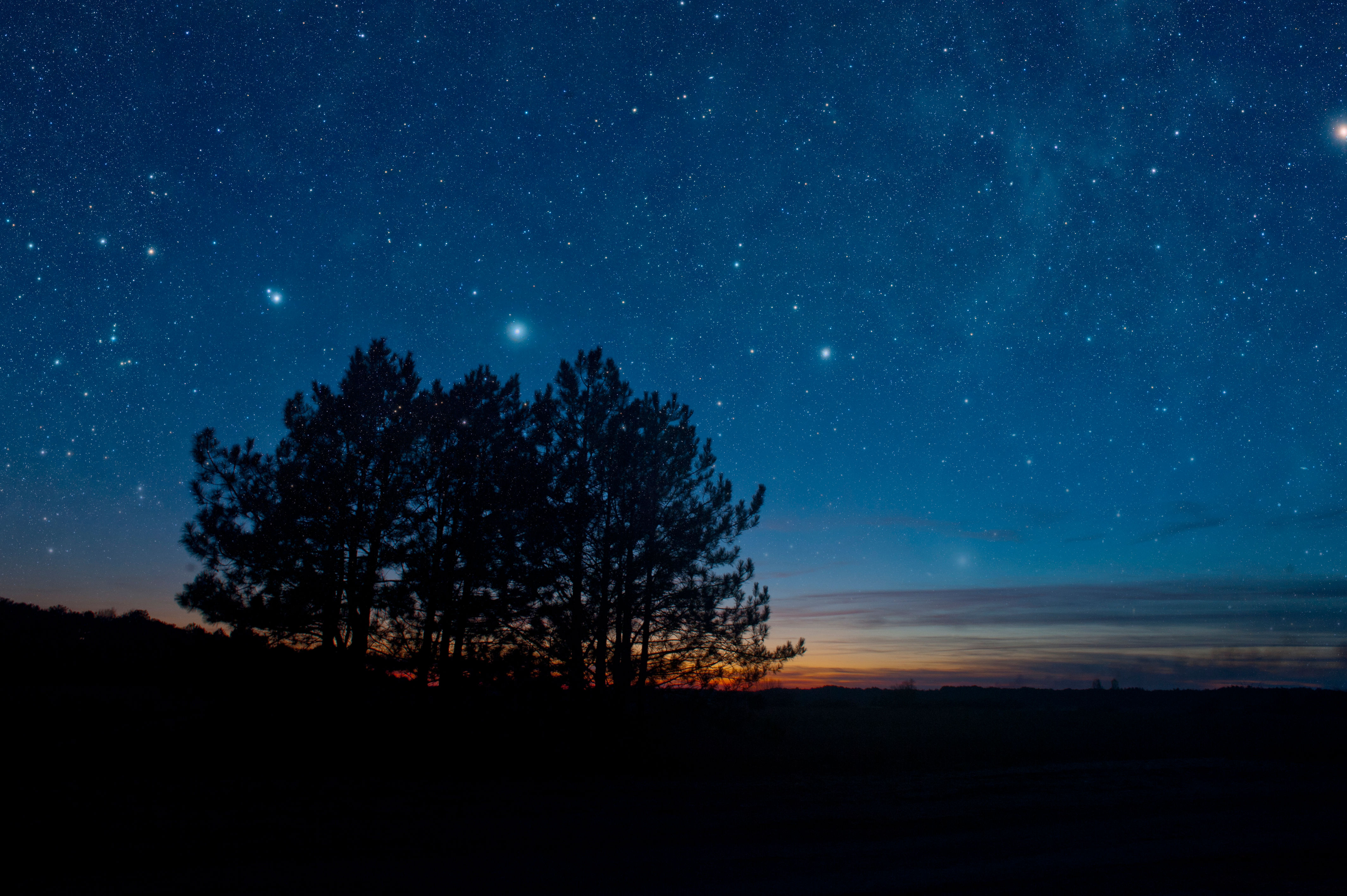 Lazy Loading Images From Custom Javascript Coder Wrap Offers A Collection Of Complimentary