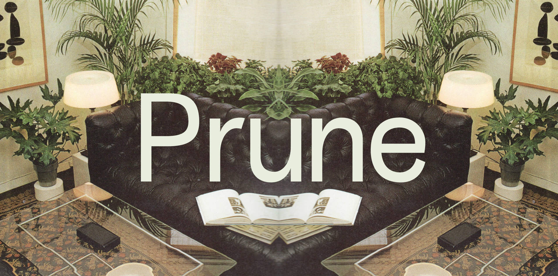 Anna Sing – Greenhouse Type – Design by Women