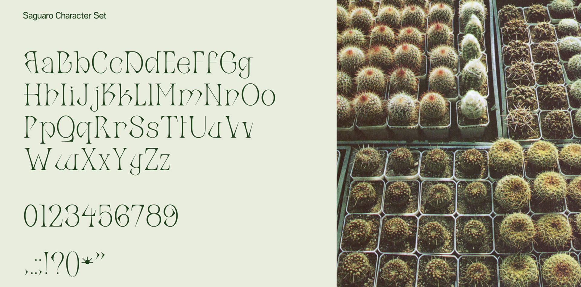 Anna Sing – Greenhouse Type – Design by Women