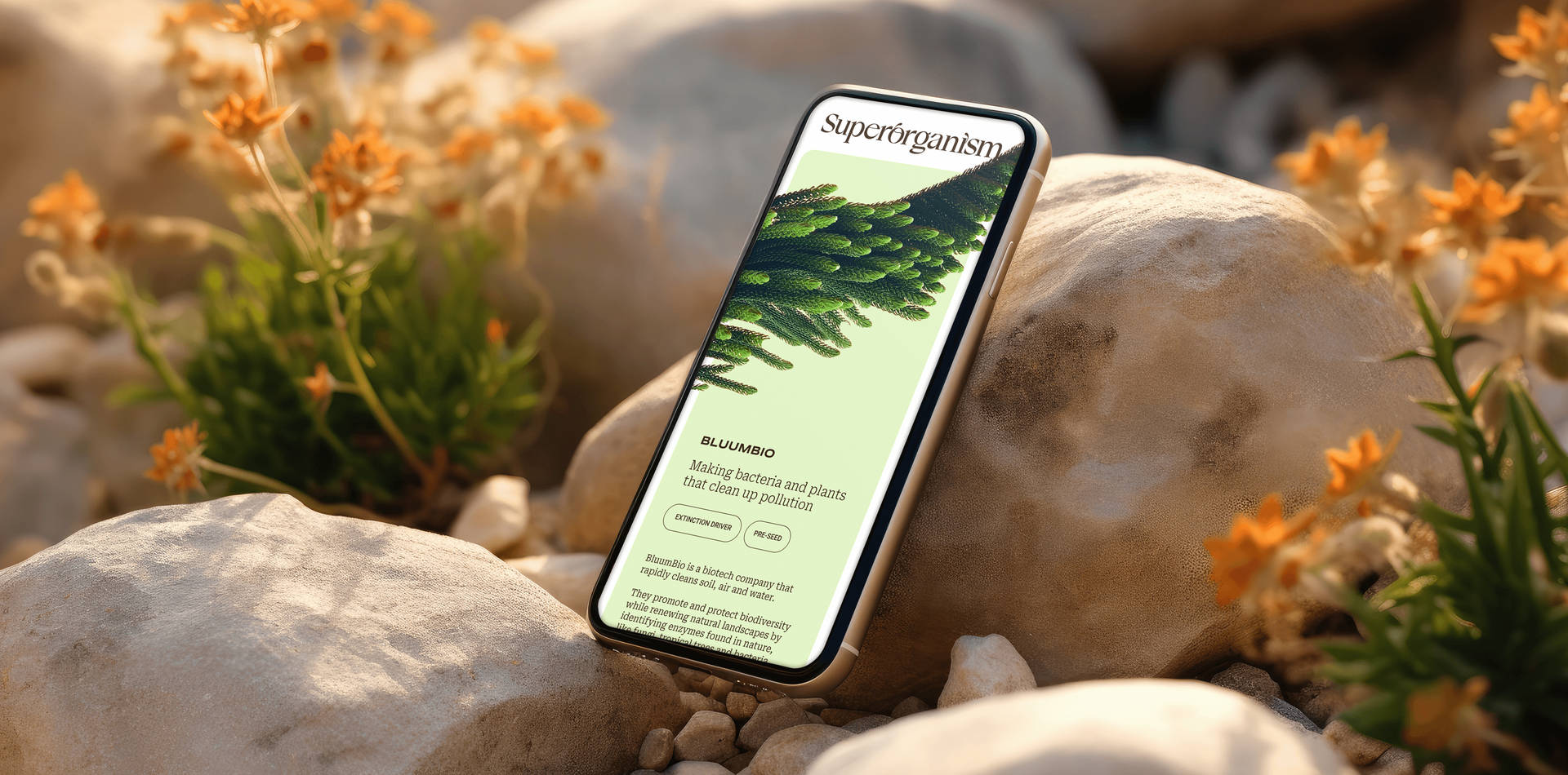 Goodside – Design by Women