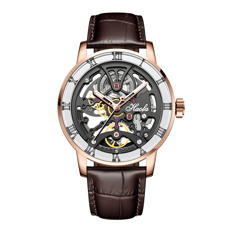 Haofa Tourbillon Watch - Malaysia Official Distributor