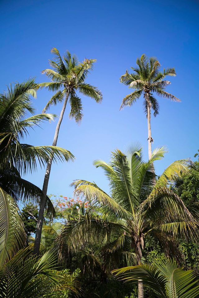 About The Hotel and Location - Tingum Village Hotel