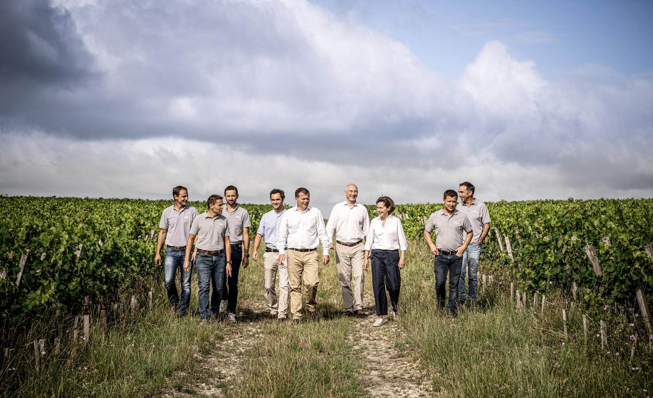 Dourthe I Créateur de Vins de Bordeaux depuis 1840