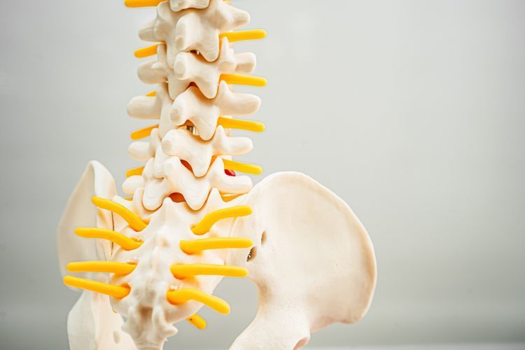 Culinary Adventures: Protecting Your Spine in the Kitchen