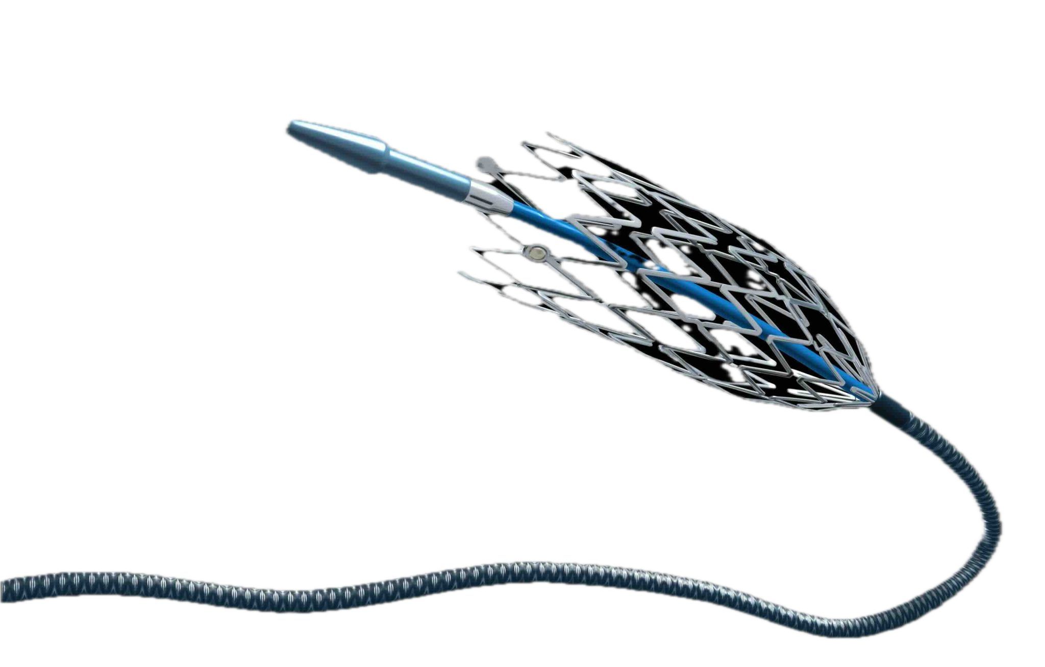 Stents, o que são e para que servem? - Blog Dr. Abdo Farret