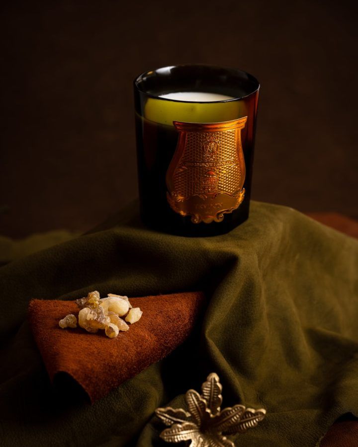 Trudon Duftkerze Solis Rex online kaufen — Duft und Kultur