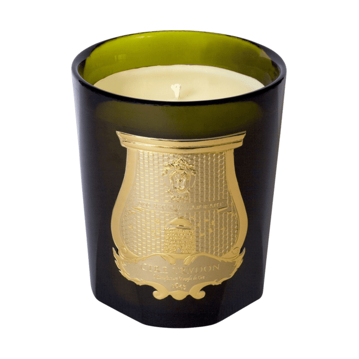 Trudon Duftkerze Solis Rex online kaufen — Duft und Kultur