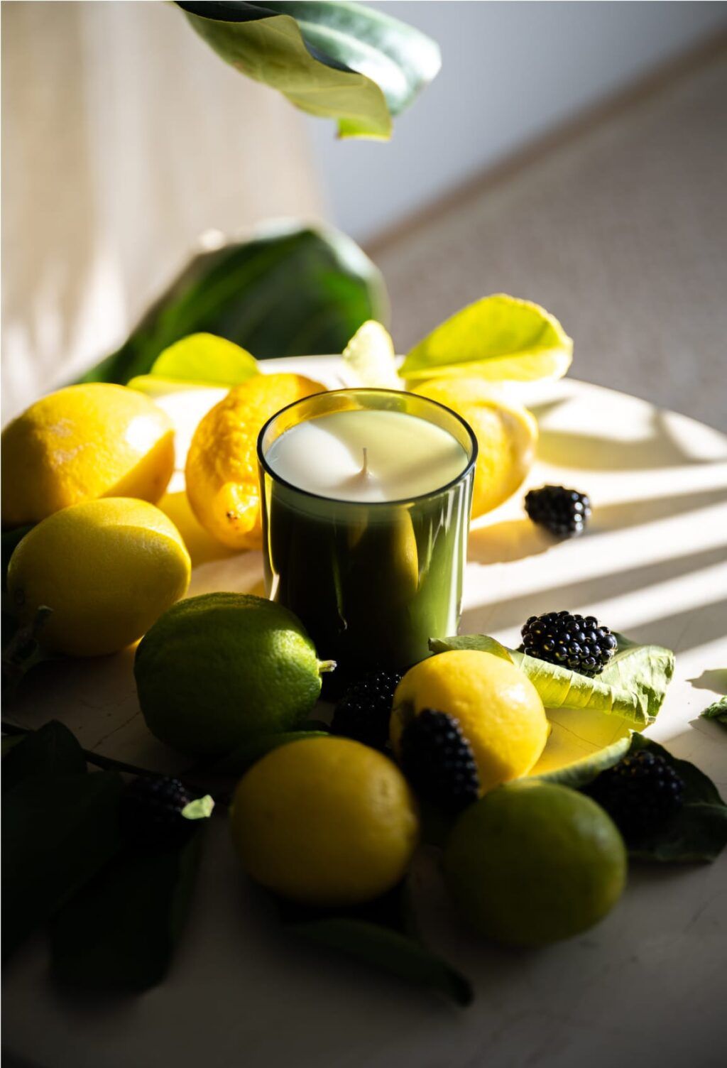 Grüner Frühling mit Tortu — Duft und Kultur