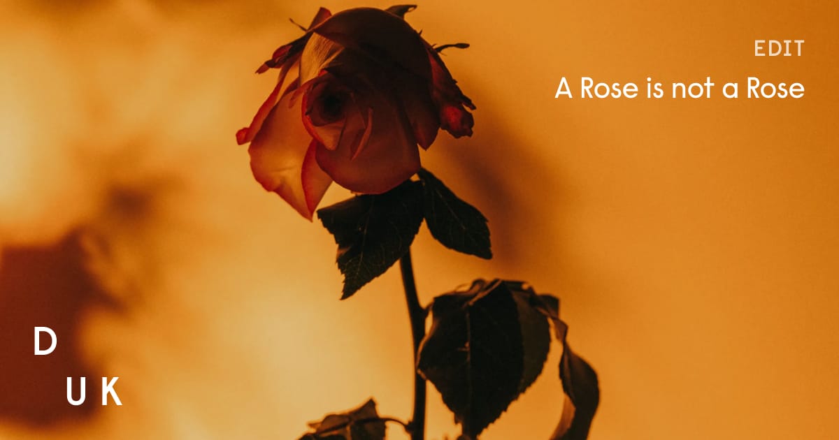 Die Besten Rosendüfte: A Rose is not a Rose — Duft und Kultur