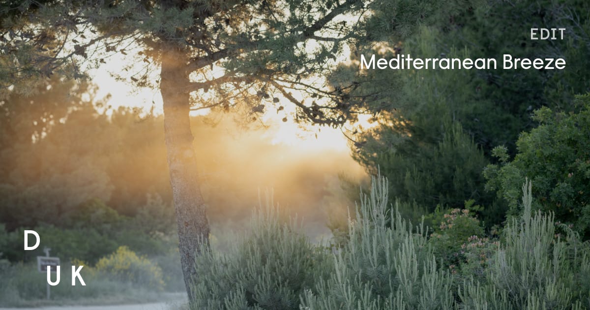 Die Besten Mediterranen Düfte: Mediterranean Breeze