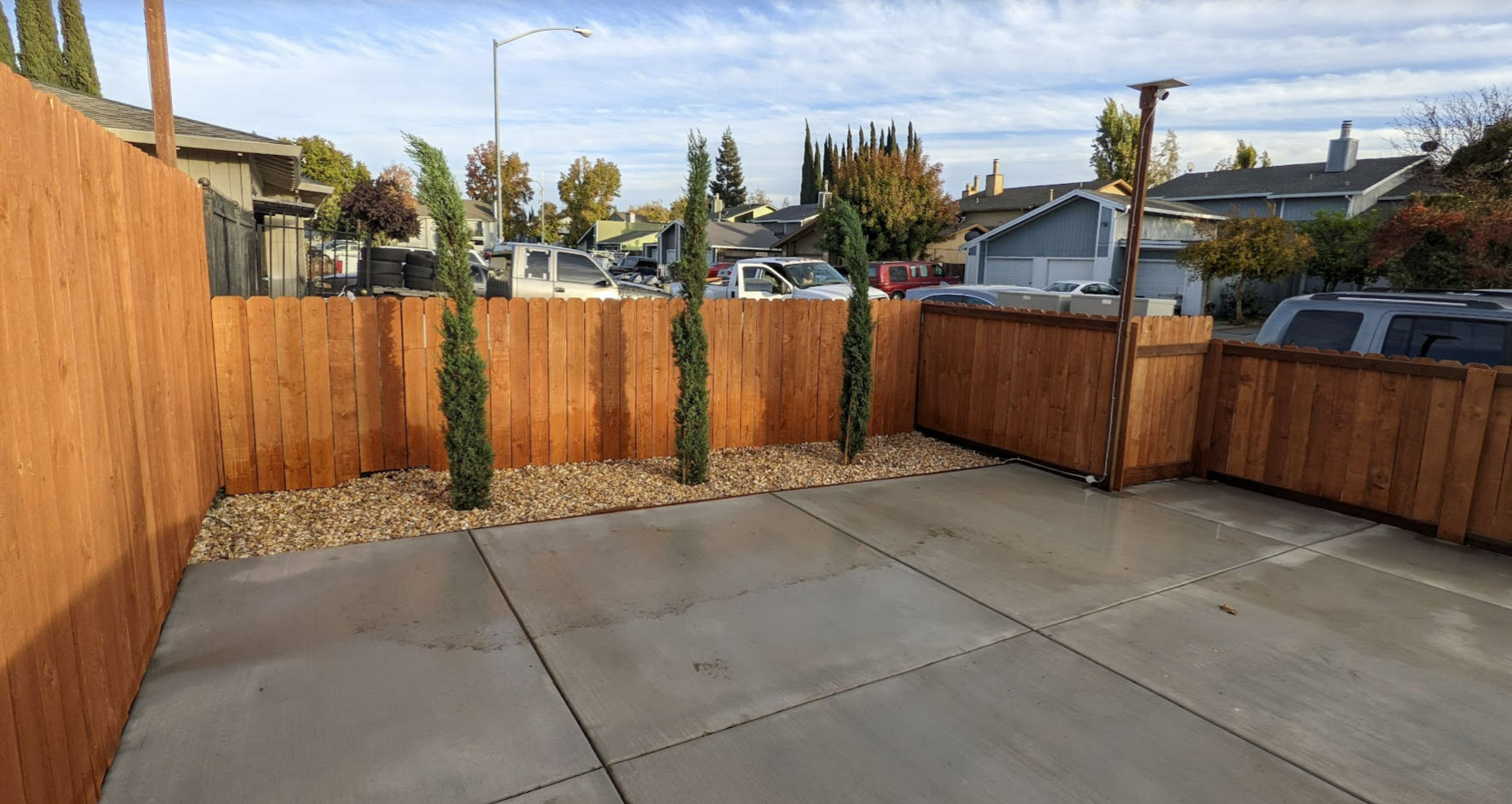 Using Cypress Trees to Hide Ugly Views of Your Neighbors - Abdullah Yahya