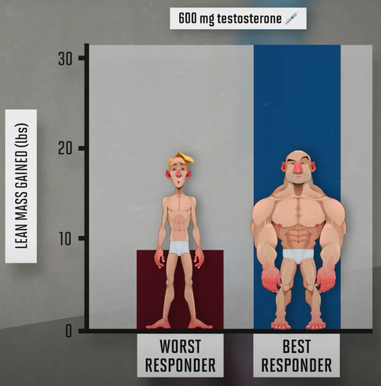 How Much Muscle Can You Build With and Without Steroids? - Abdullah Yahya