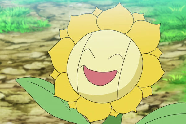 Pokemon Enthusiast Develops Innovative Evolution Paths for Sunflora