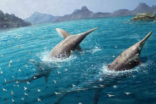 Incredible Discovery: Uncovering the Massive Prehistoric Creature