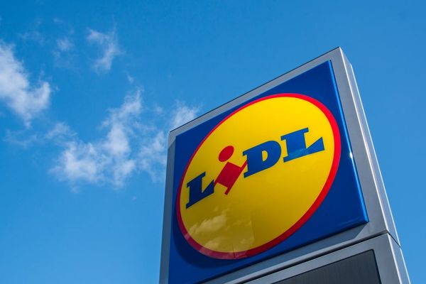 Lidl's Impressive Growth in Market Share Amidst Stabilized Grocery ...