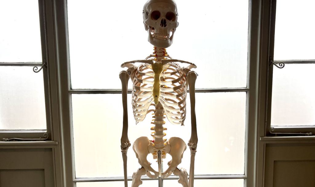 Coccydynia - Coccyx Pain - Tivoli Chiropractic