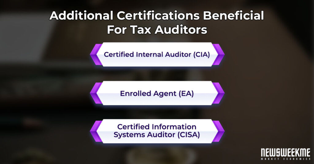 How to Become a Tax Auditor (Career Path) - News Week Me