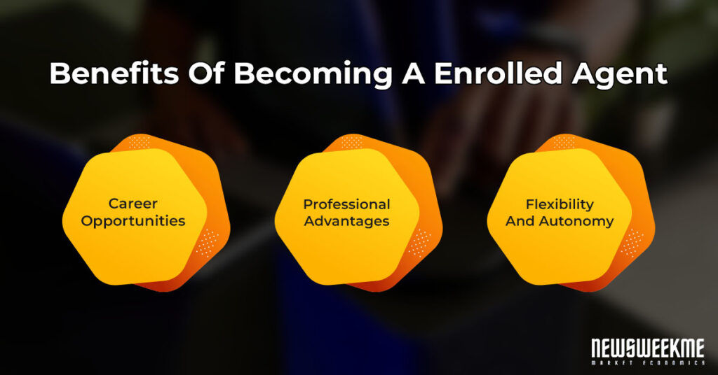 How to Become an Enrolled Agent? - News Week Me