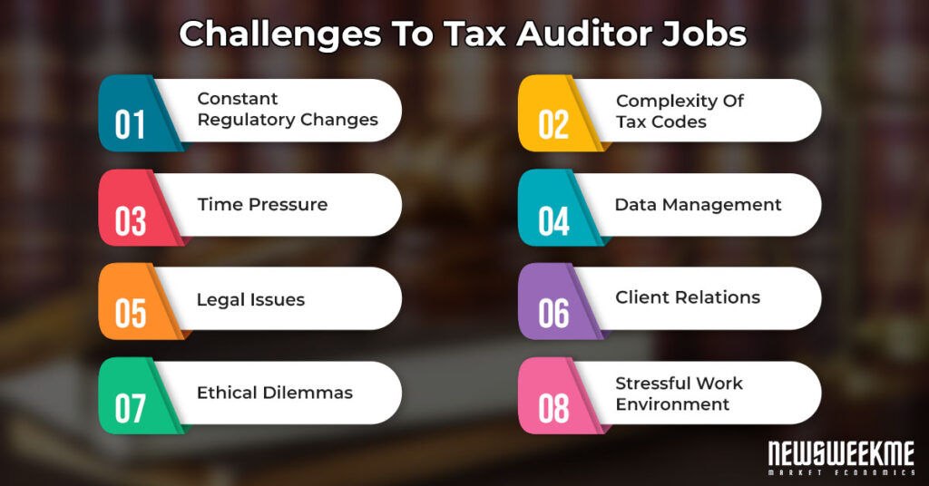 How to Become a Tax Auditor (Career Path) - News Week Me