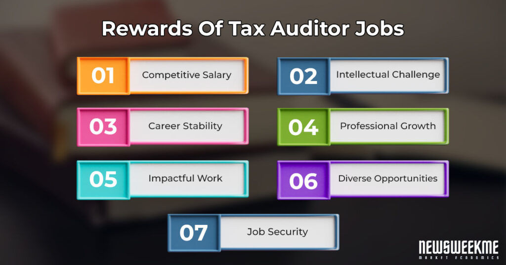How to Become a Tax Auditor (Career Path) - News Week Me
