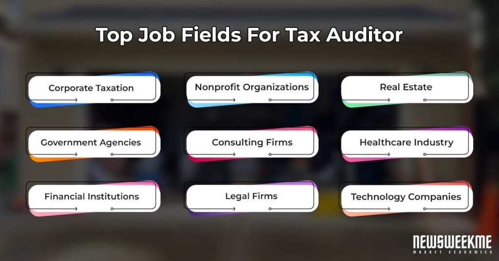 How to Become a Tax Auditor (Career Path) - News Week Me