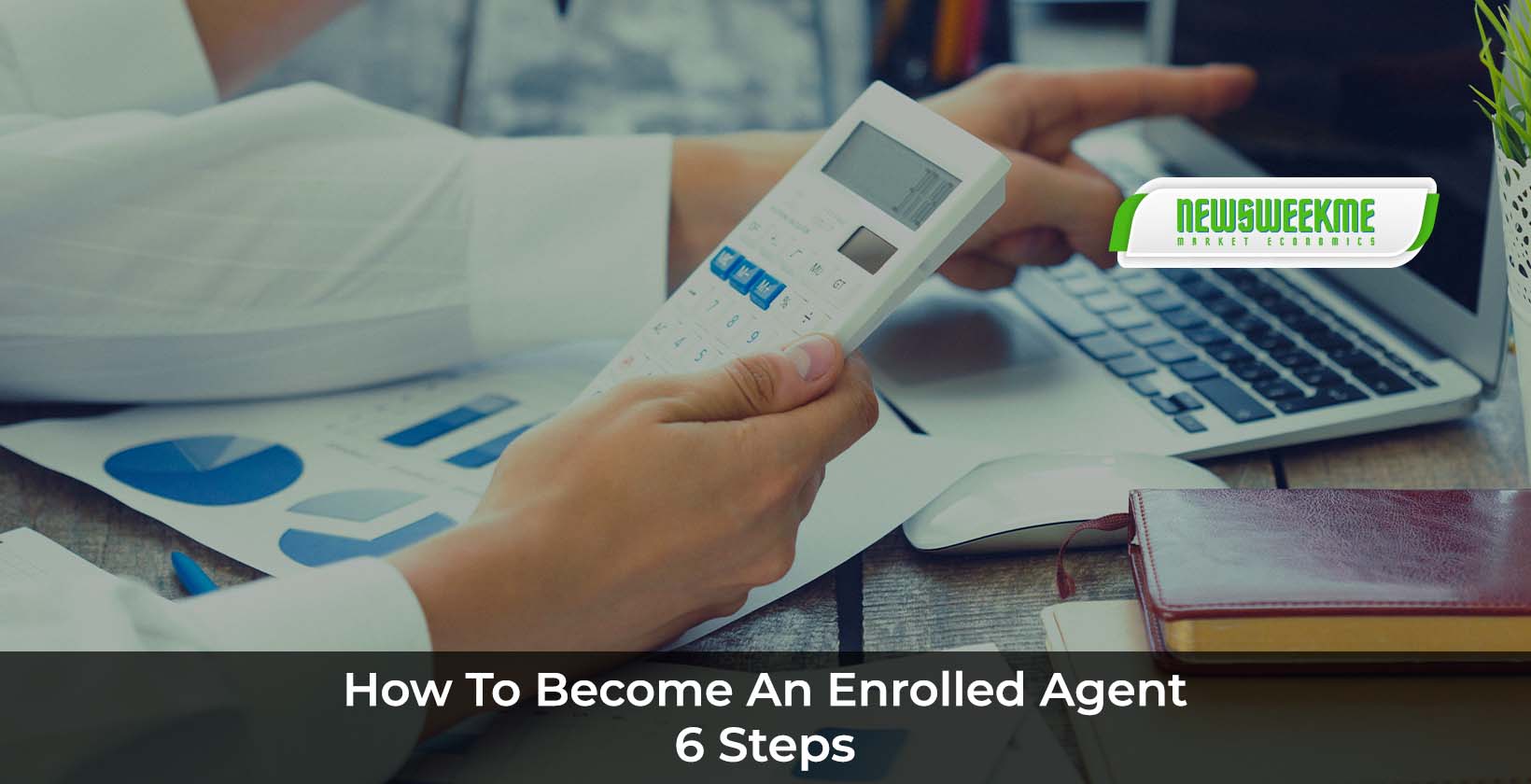 How to Become an Enrolled Agent? - News Week Me