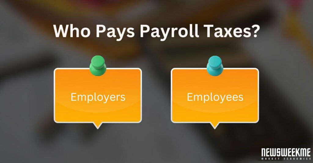 Payroll Tax: Types, Who Pays, Common Mistakes And Calculation - News ...