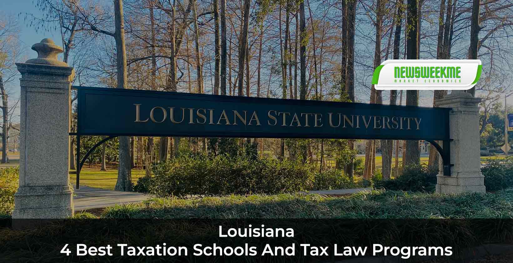 4 Best Taxation Schools And Tax Law Programs In Louisiana - News Week Me