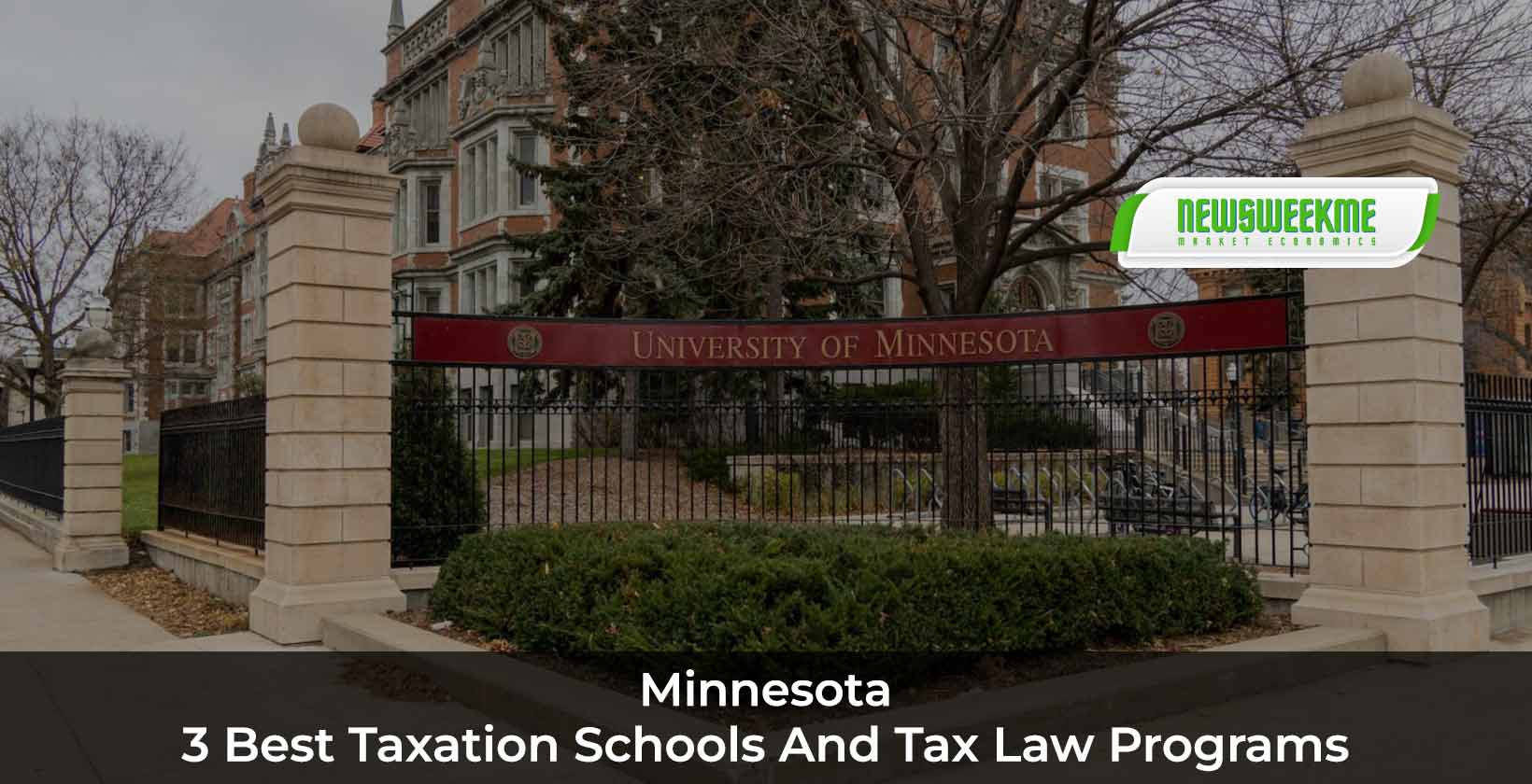 3 Best Taxation Schools And Tax Law Programs In Minnesota - News Week Me
