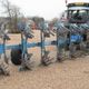 E-FARM: Lemken juwel 8m plough 6-furrows - Pflug - id LZUXVWH - 20.574 ...