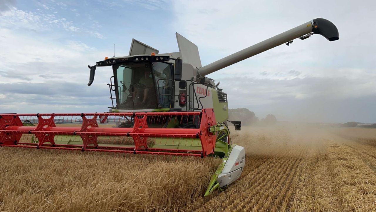 E-FARM: Claas Trion 520 - Kombajn - id WYAPRE3 - Rok výroby: 2023 ...