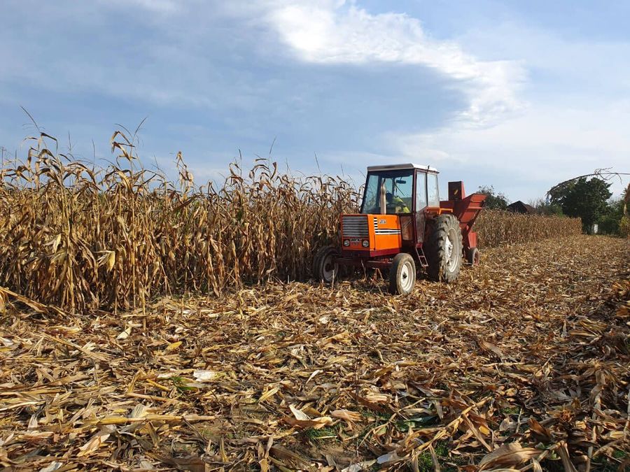 E-FARM: Marche di trattori italiani: pionieri della tecnologia agricola