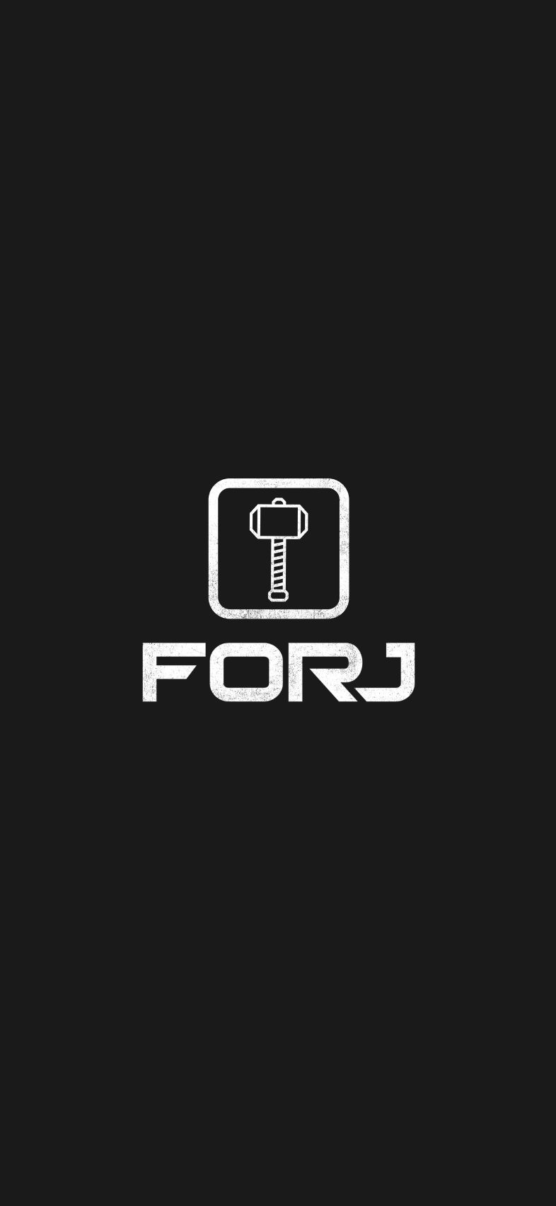 Player Experience | FORJ