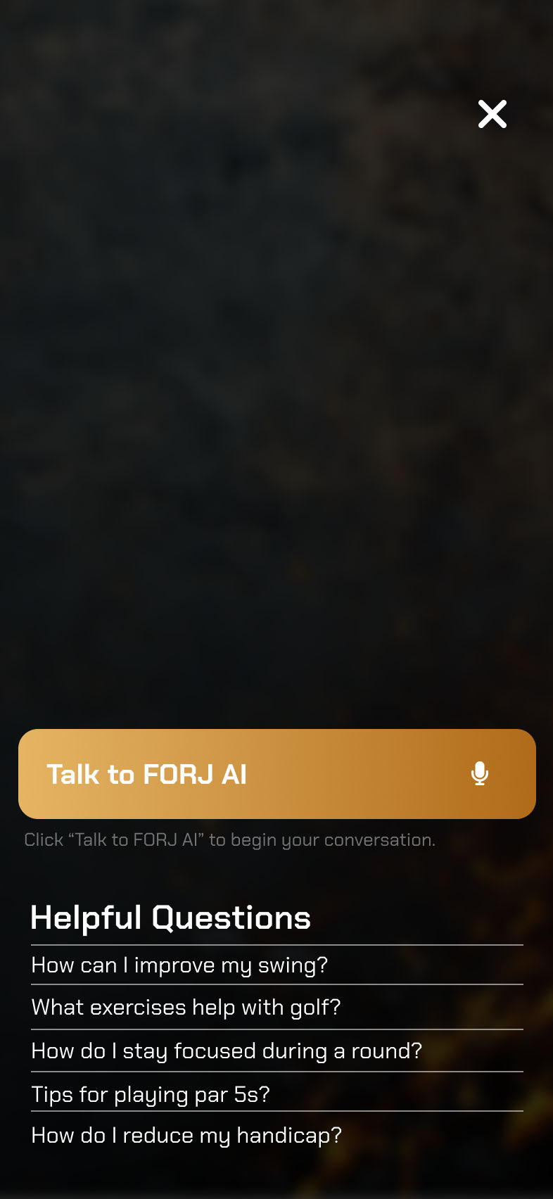 Player Experience | FORJ