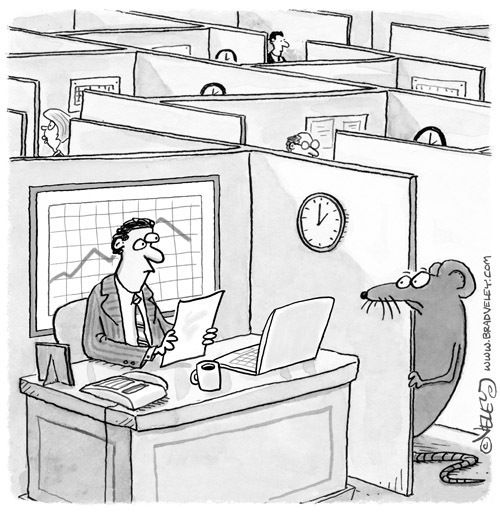 Editorial Cartoon: Rat Race
