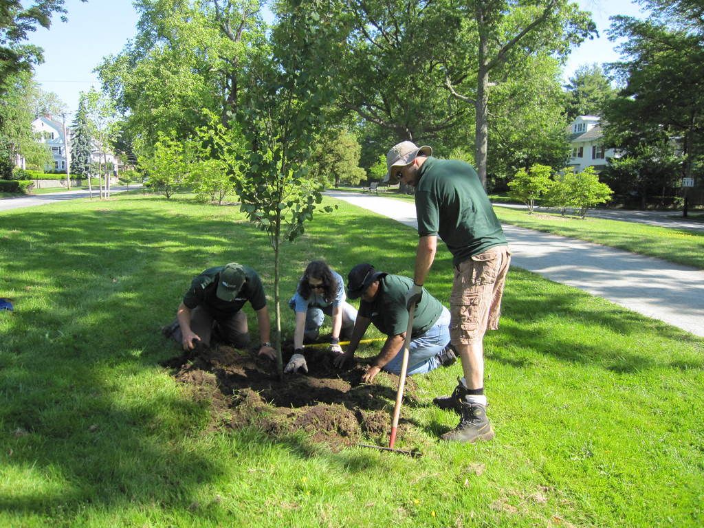 RITree Kicks-off Pilot Tree-Planting Program In Warren