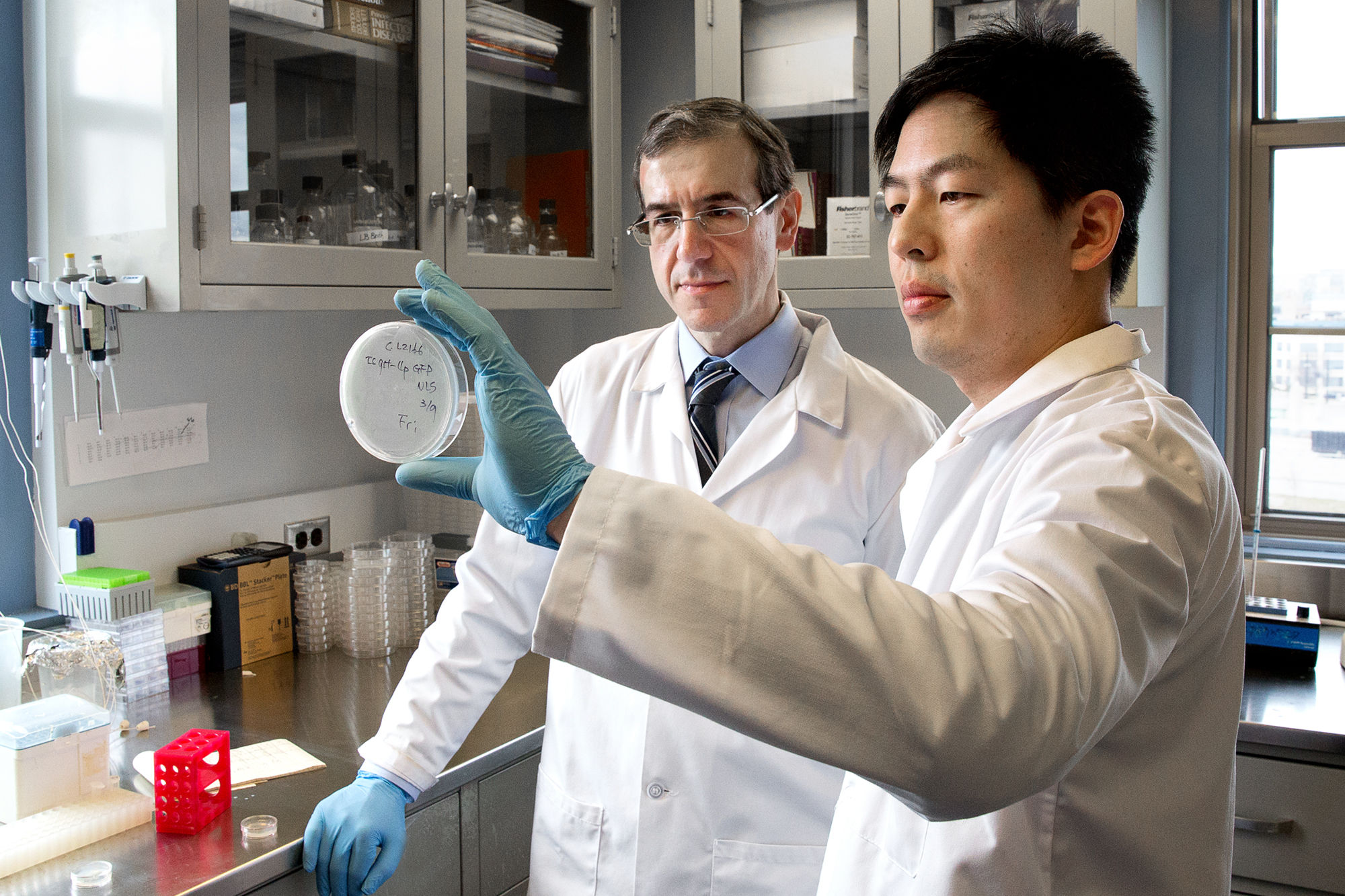 R.I. Hospital-led team discovers new superbug-fighting antibiotics