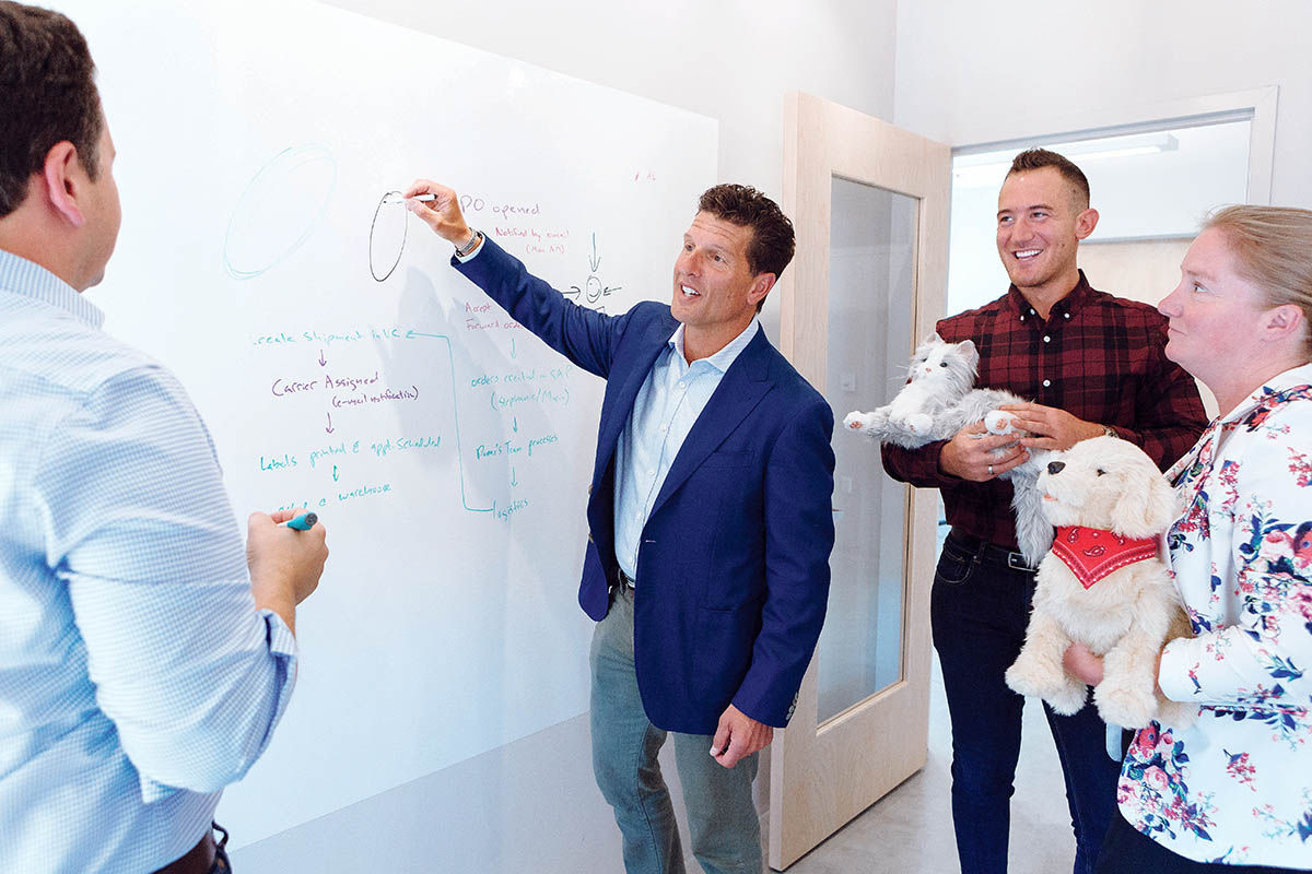 Ageless Innovation creates companions for the aged