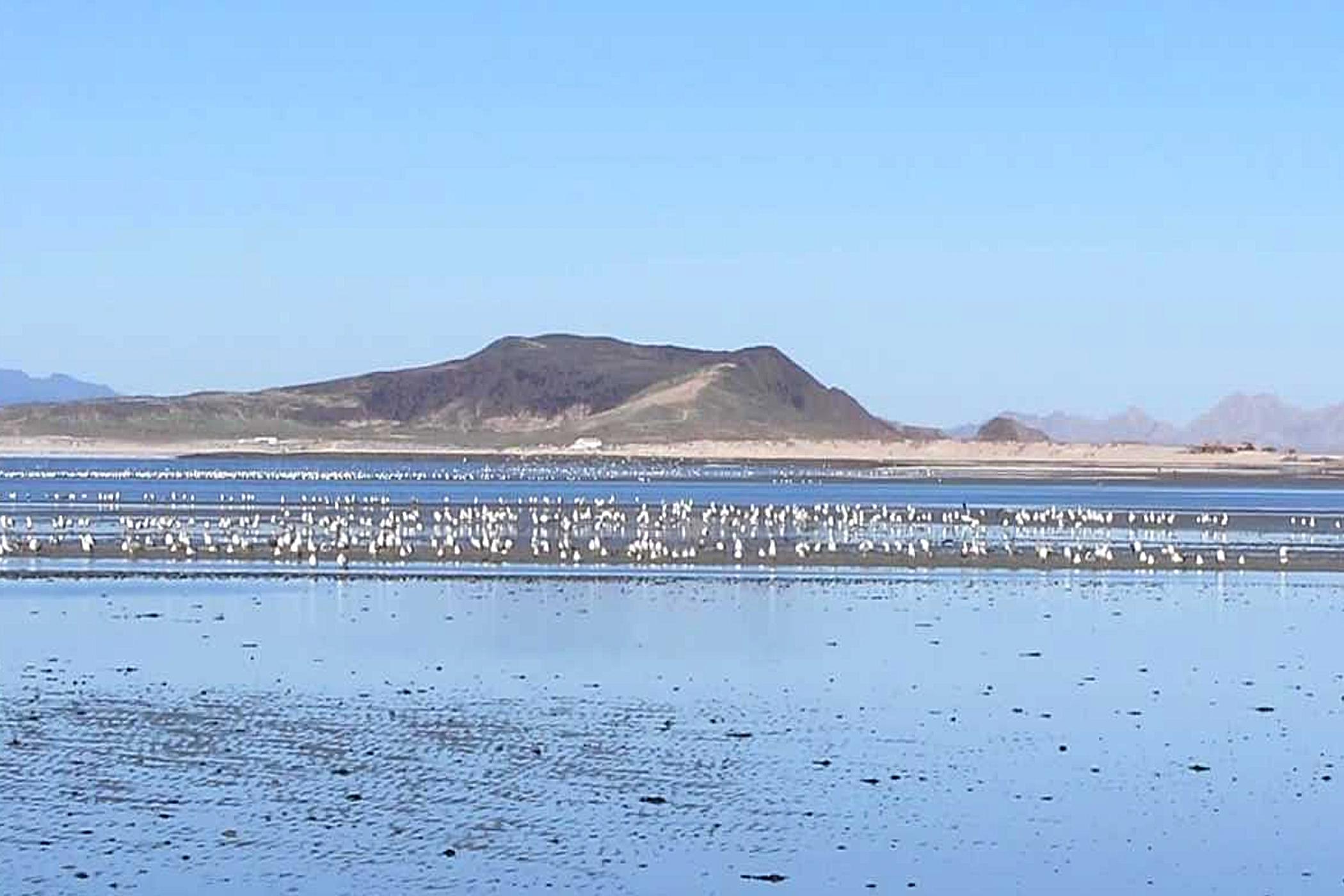 115 Thing to Do in Puerto Penasco - Encanto Living Vacation Beach ...