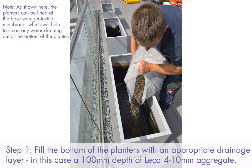 A guide to commercial container planting | IOTA