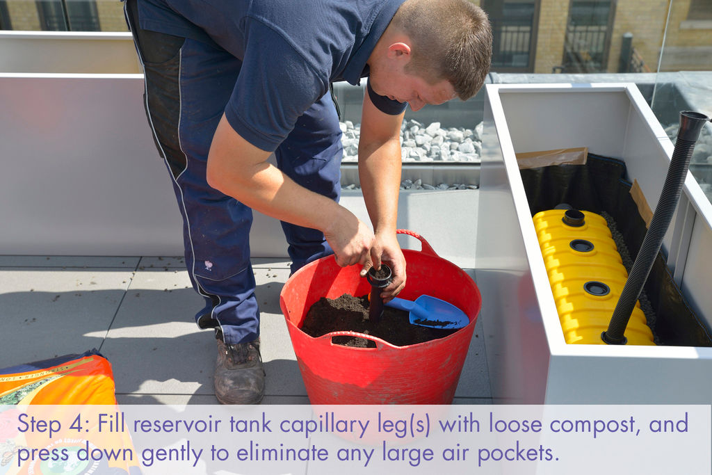 A guide to commercial container planting | IOTA