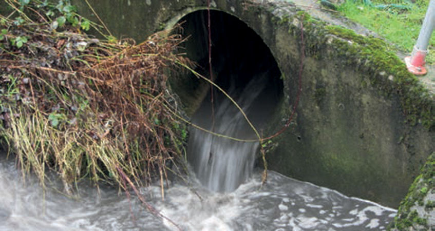 Getting to Grips With Highway Pollution | SDS