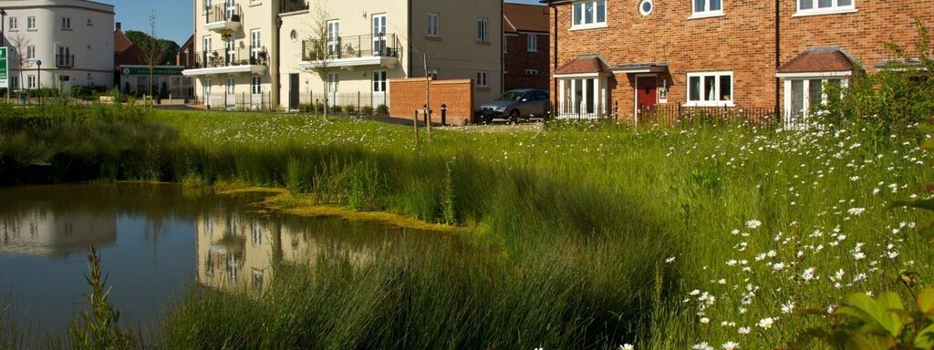 Can SuDS help housebuilders attain biodiversity net gain | SDS