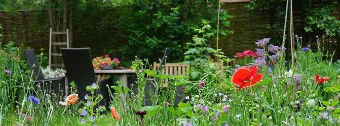 Planting for the planet – creating a Net Zero urban garden | ACO Water ...